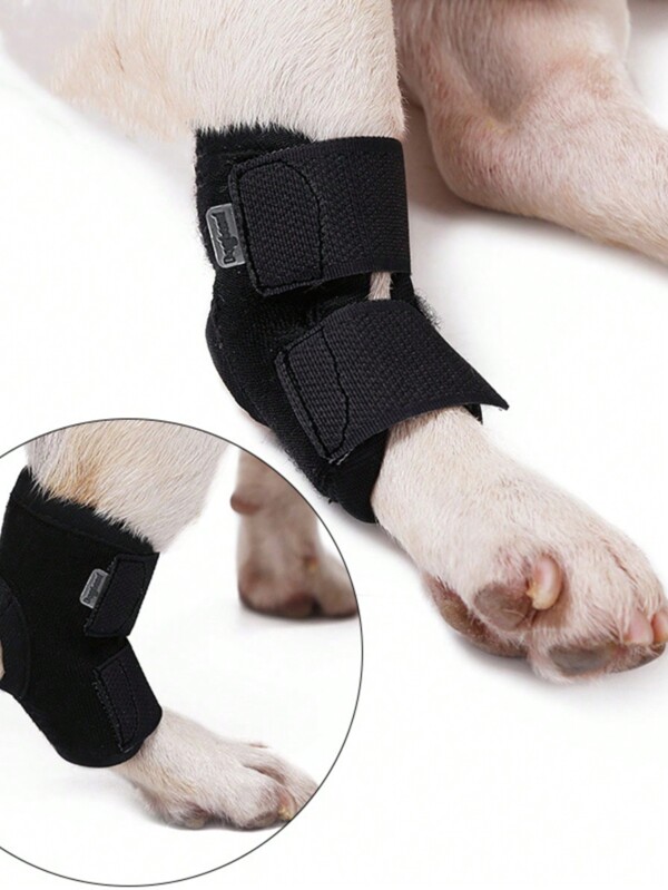 Pet Anti-lick Joint Support Leg Brace For Rehabilitation | SHEIN USA