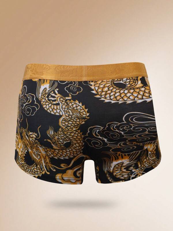 Men Dragon Print Boxer Brief | SHEIN USA