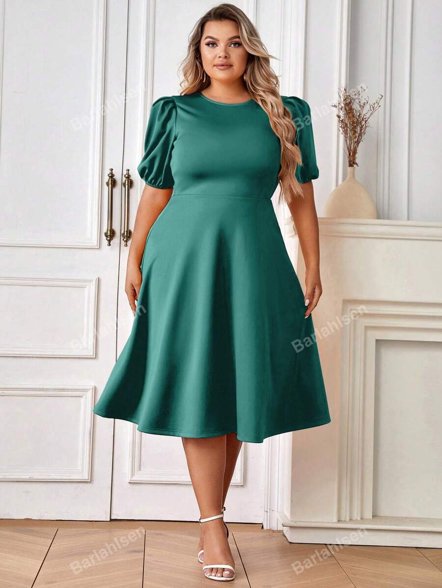 Plus Puff Sleeve A-line Dress | SHEIN USA