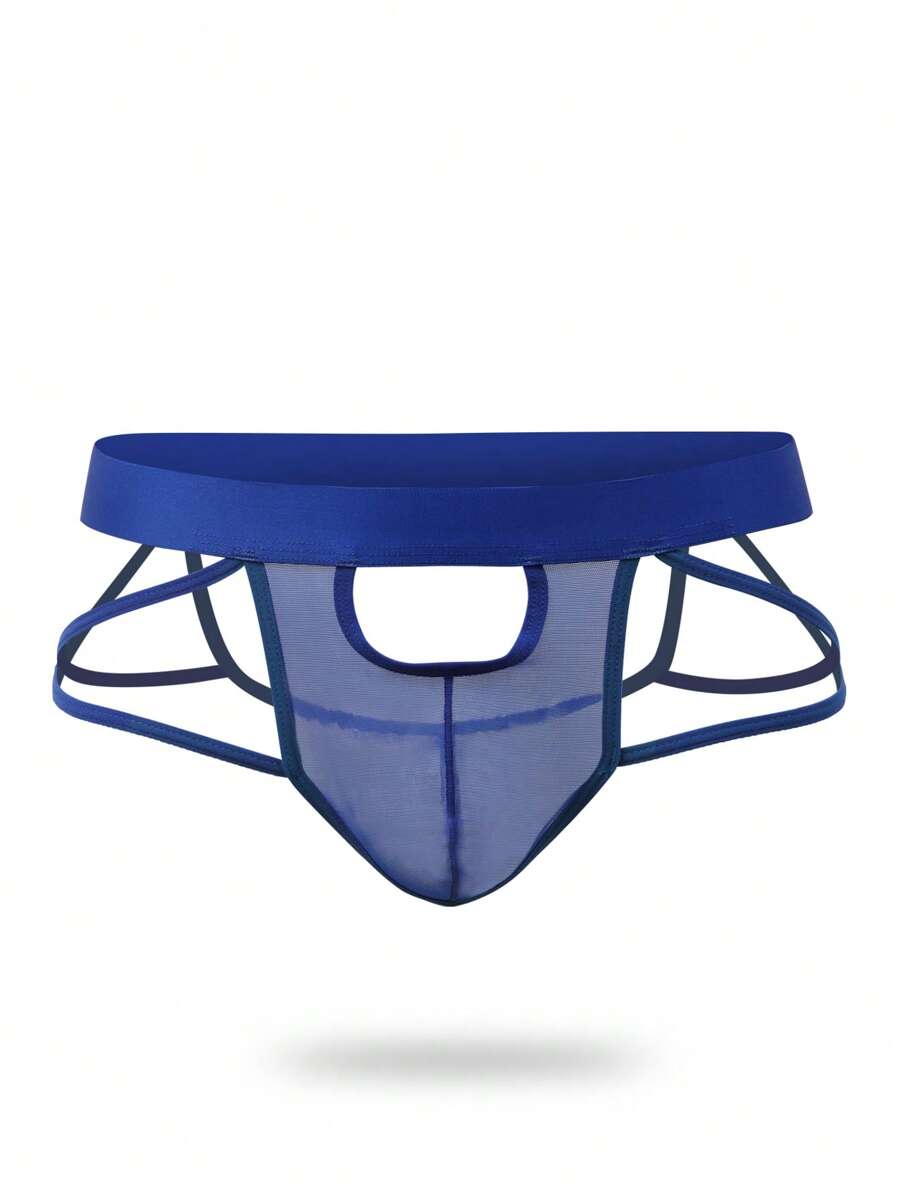Men Cut Out Mesh Insert Sexy Underwear | SHEIN USA