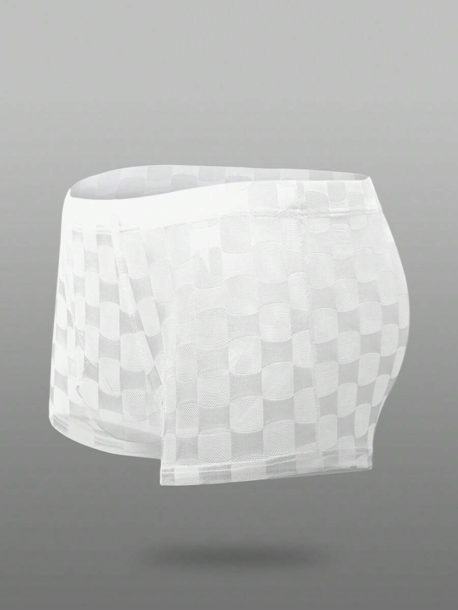 Extended Sizes Men Sheer Mesh Boxer Brief Sexy Underwear | SHEIN USA
