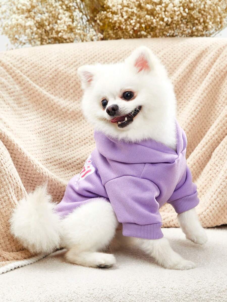 JV Designs Artist Girlcore Cute Pet Kawaii Sweatshirt With Pink And ...