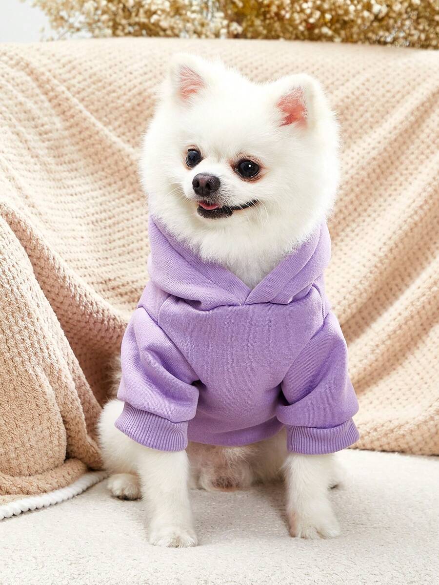 JV Designs Artist Girlcore Cute Pet Kawaii Sweatshirt With Pink And ...