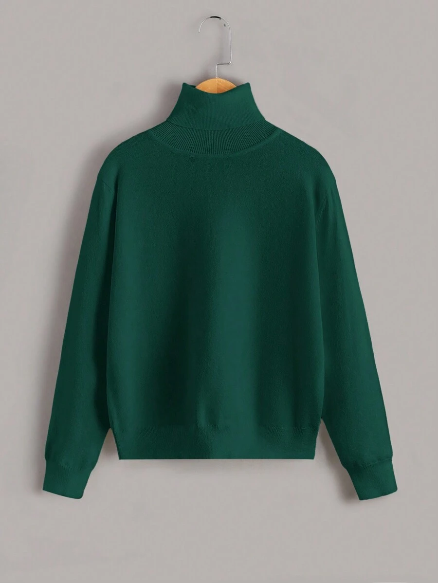 SHEIN Tween Boy Solid Turtleneck Sweater | SHEIN USA