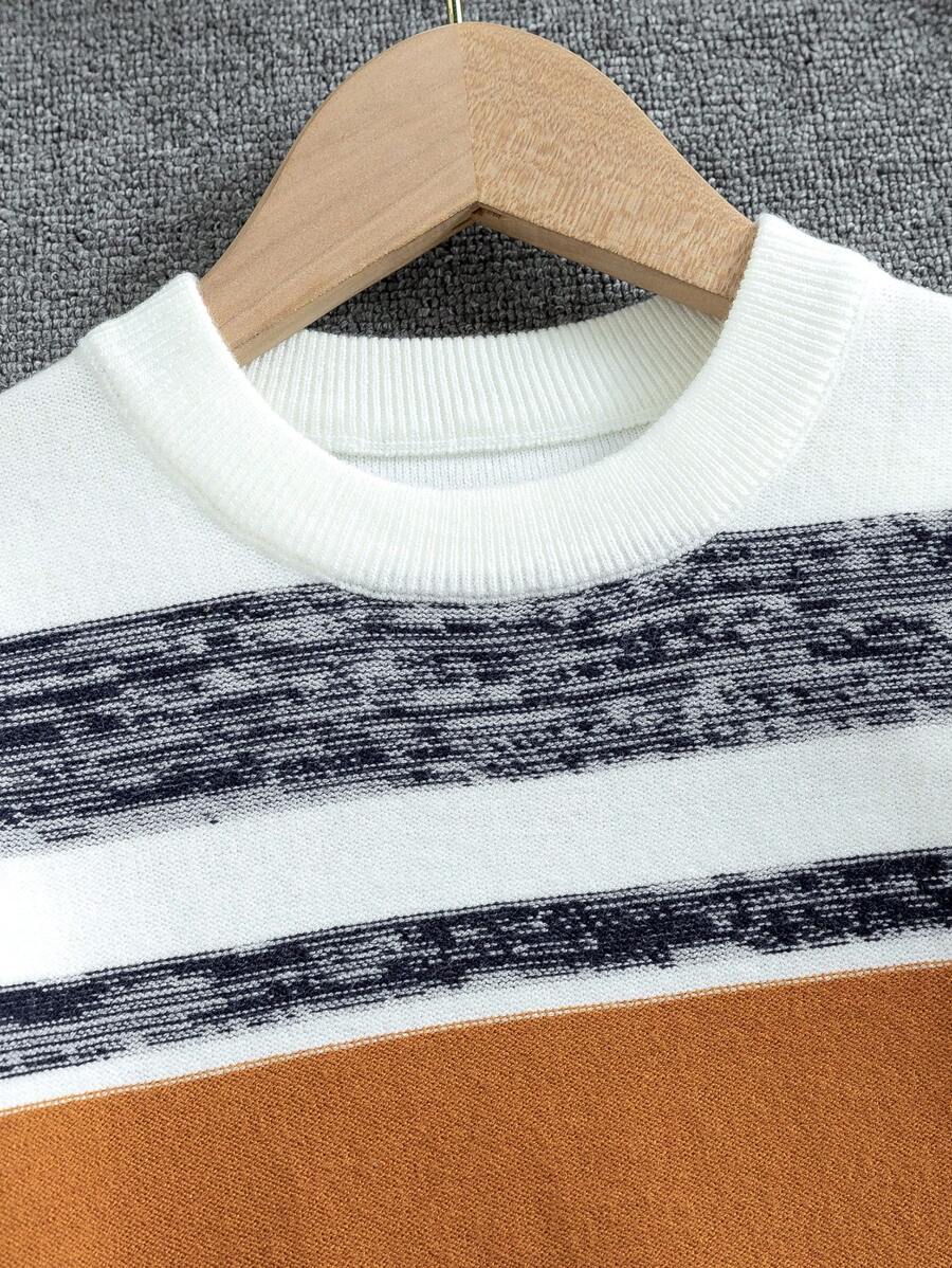 SHEIN Young Boy Color Block Sweater | SHEIN USA