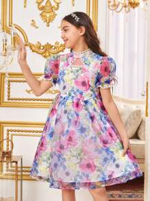 SHEIN Tween Girls' Vintage Palace Style Cute Stand Collar Floral Printed Puff Sleeve Dress ...