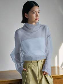FRIFUL Mesh Turtleneck Drop Shoulder Long Sleeve Casual Top | SHEIN USA