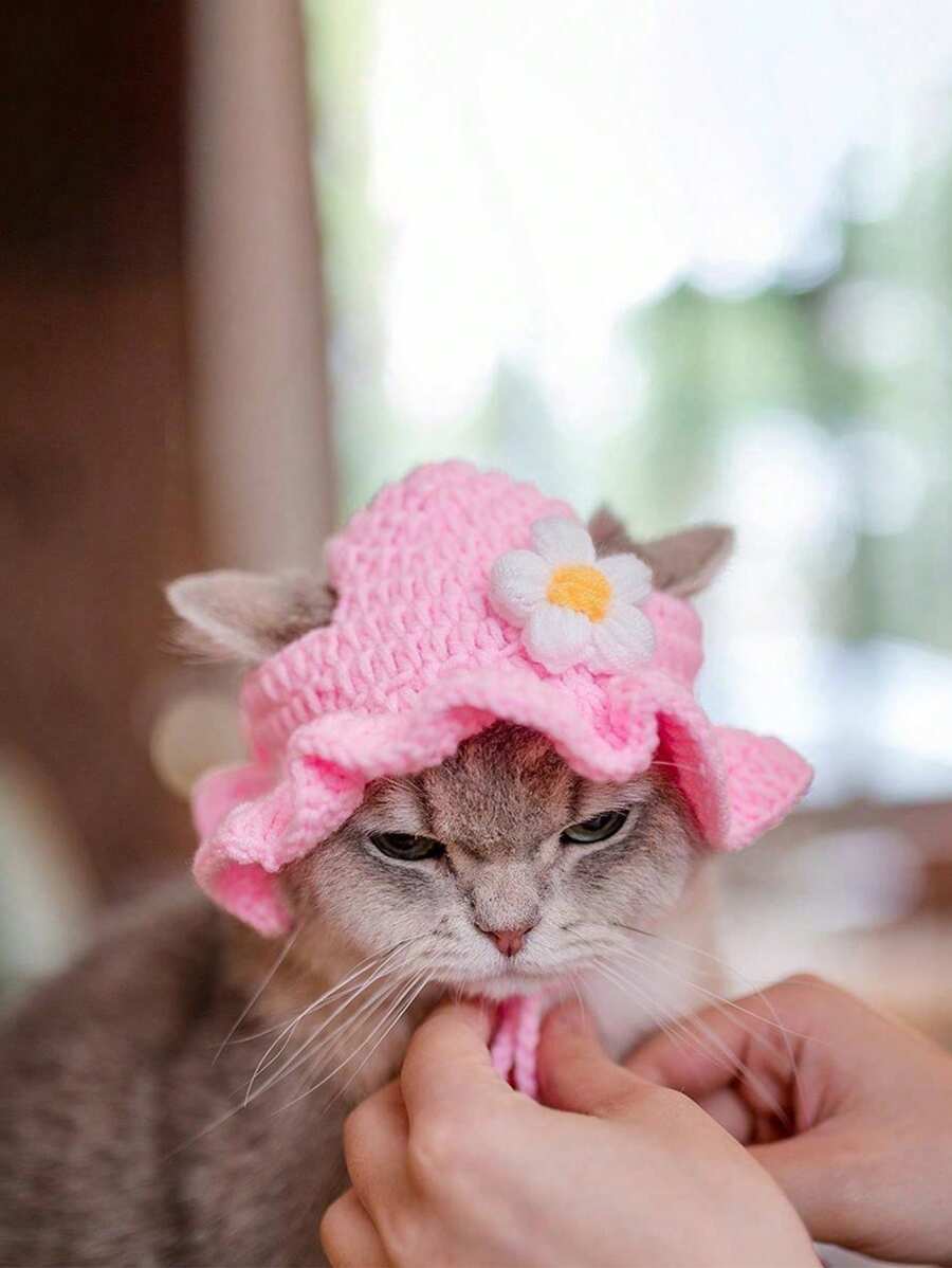 1pc Hand Knitting Design Knitted Pet Hat,Cute Cartoon Cat Cap ...