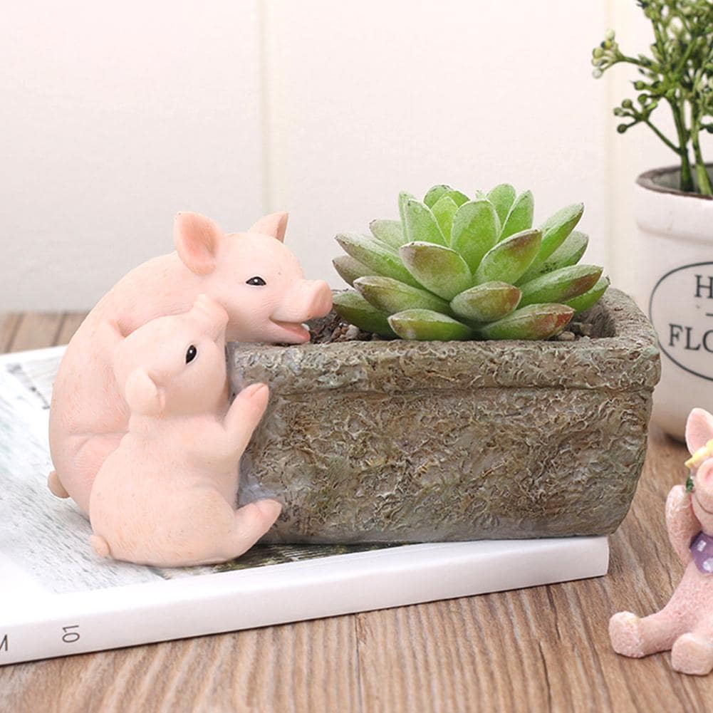 Indoor Outdoor Resin Pig Garden Decor Bonsai Cactus Gifts Succulent ...