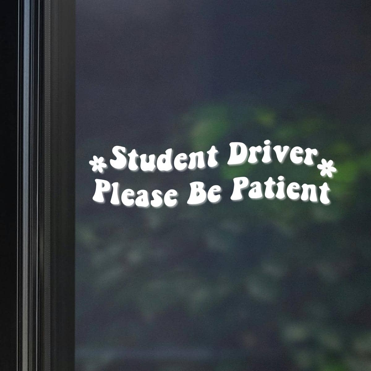 RandySticker 22x7CM Student Driver Please Be Patient New Cool ...