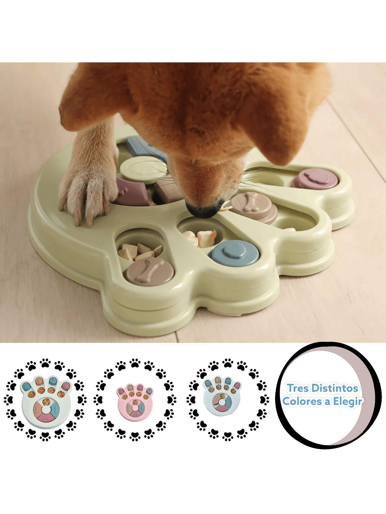 Pet Food Storage Containers & Scoops | SHEIN USA