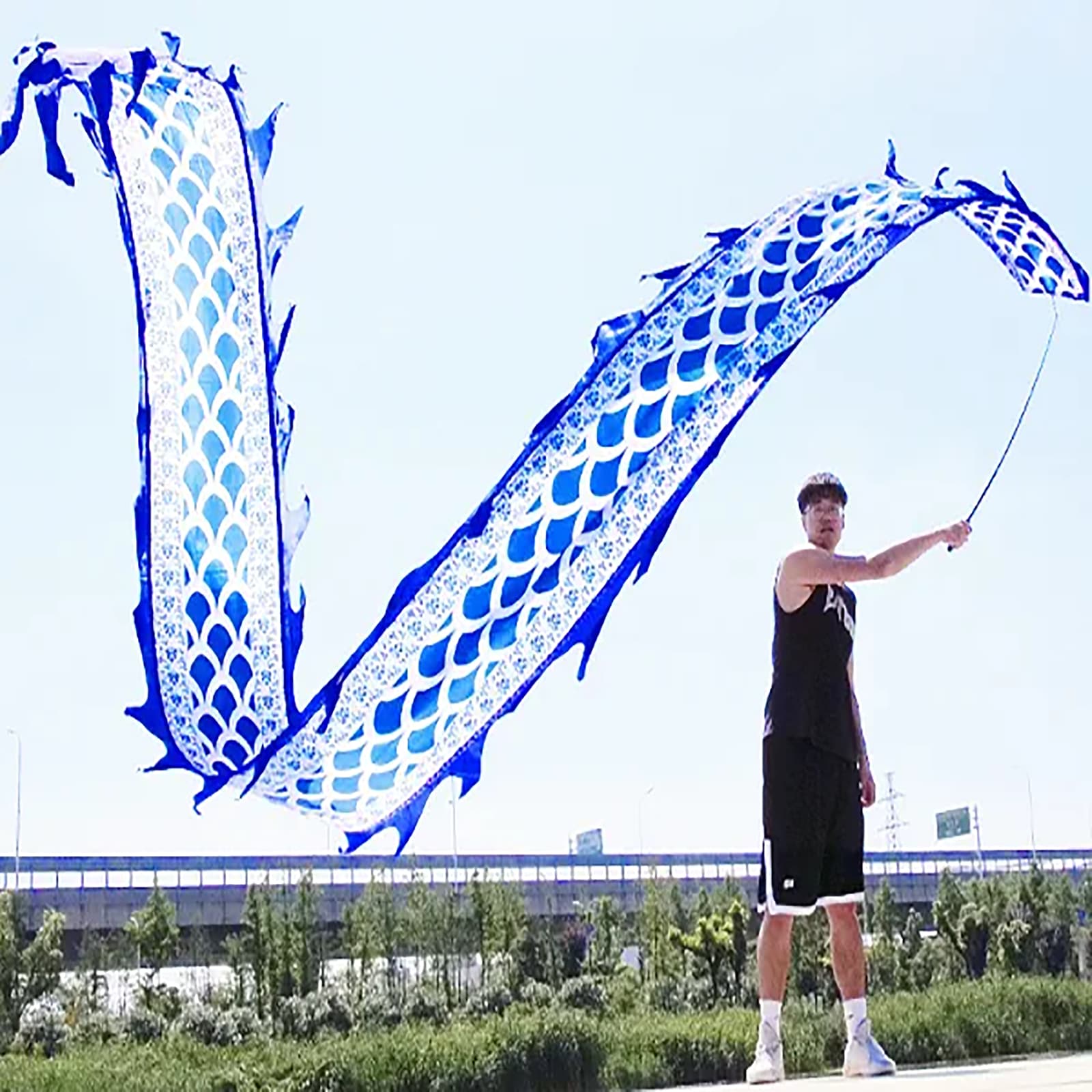 3D dragon Ribbon Streamer, Flowy Spinning and Shaking, Flinging The ...