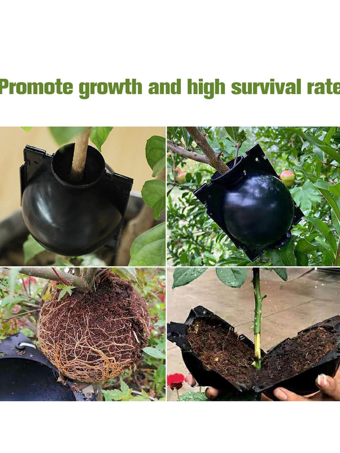 5pcs/set Reusable Plant Root Growing Box Cutting Grafting Rooting Ball ...