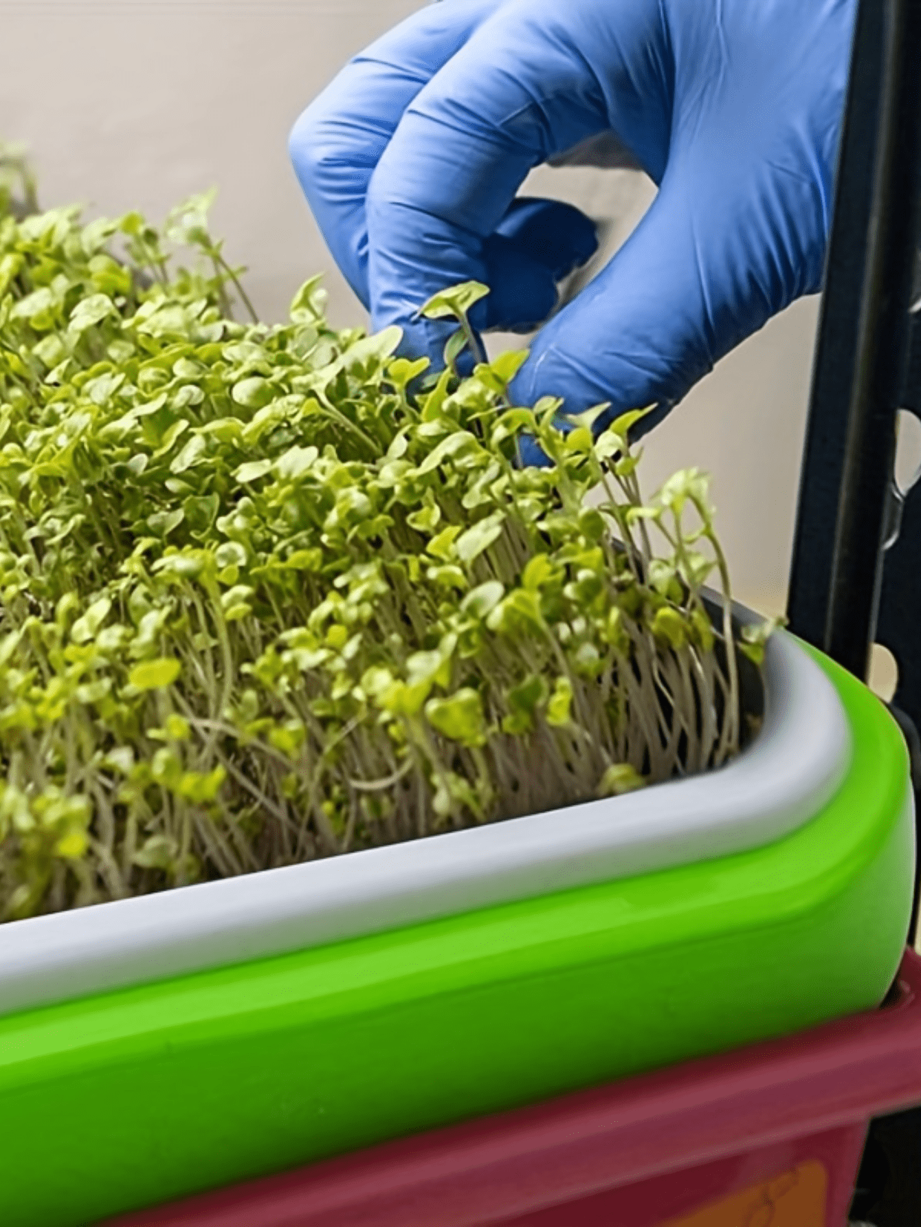 34x25x6cm Sprout Vegetable Culture Tray Hydroponic Balcony Soil-less ...