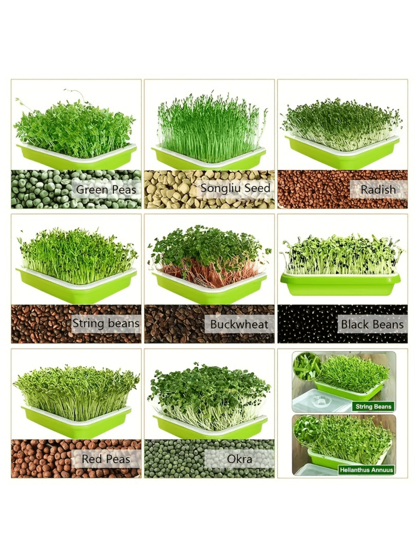 34x25x6cm Sprout Vegetable Culture Tray Hydroponic Balcony Soil-less ...