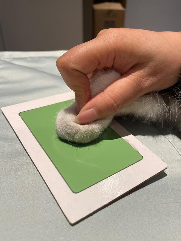 Disposable Ink Pad Set For Pets Paw Print, No Mess Ink Pad, Clean ...