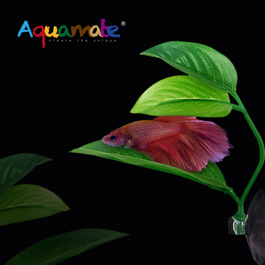 Artificial Plant - Betta Fish Rest Leaves | SHEIN USA