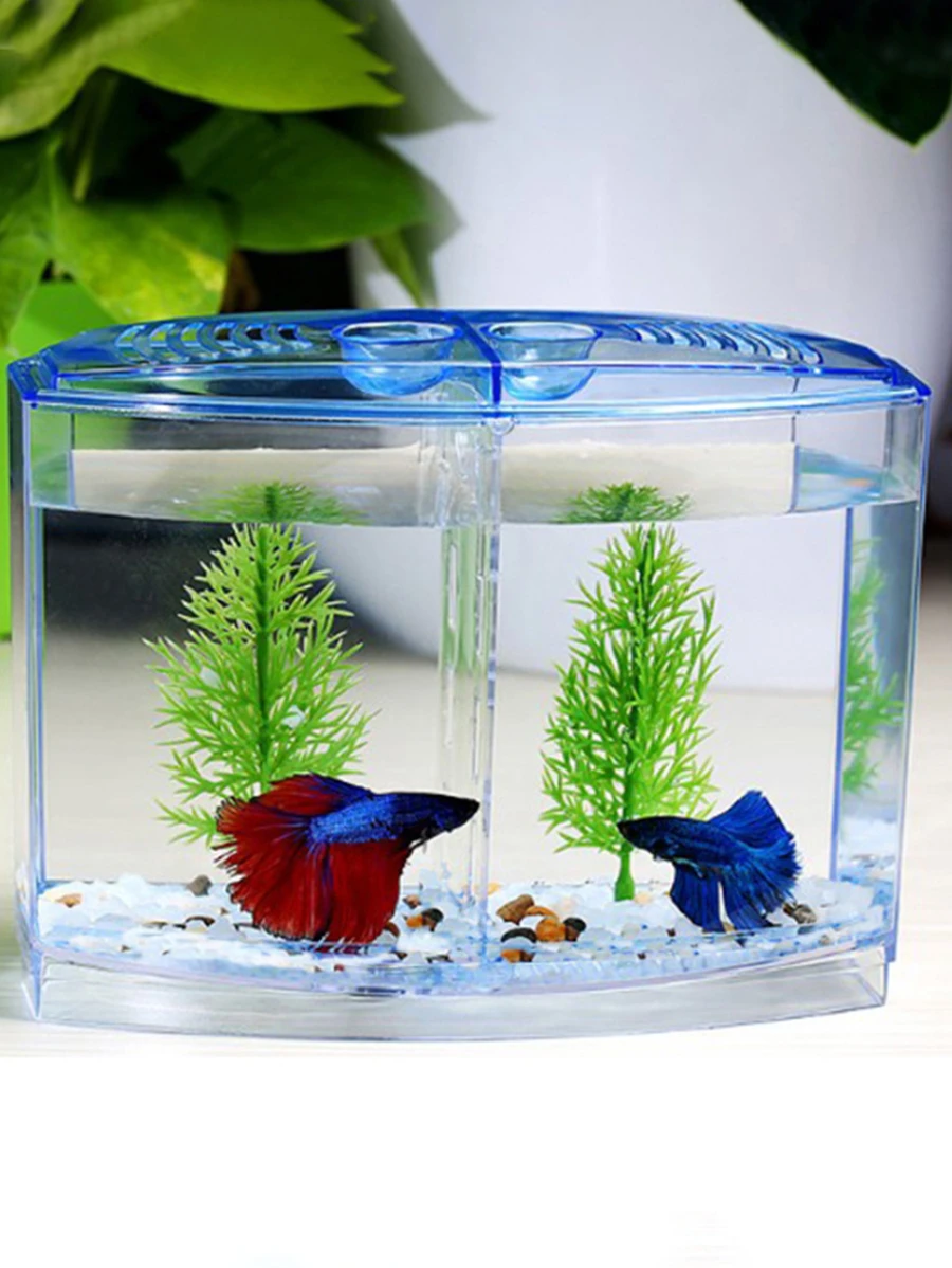1pc Acrylic Betta Tank Divider, Simple Multi-functional Separation ...