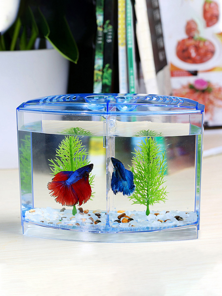 1pc Acrylic Betta Tank Divider, Simple Multi-functional Separation ...
