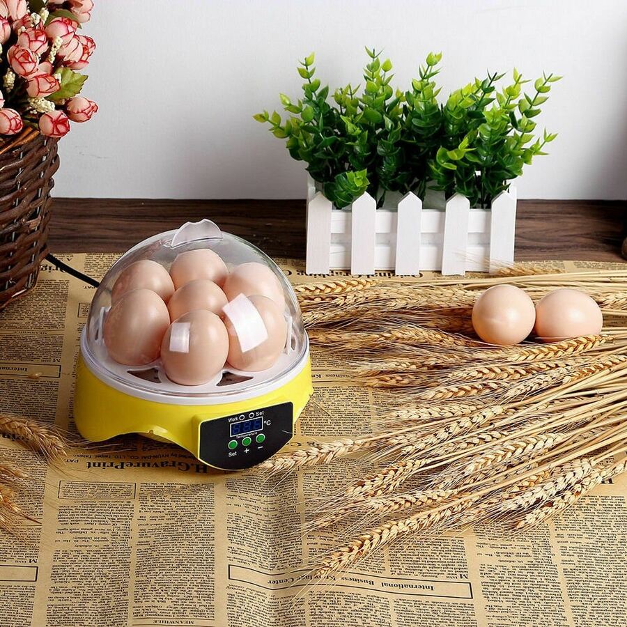 Clear Egg Incubator, Automatic Digital Poultry Hatching Machine, Mini 7 ...