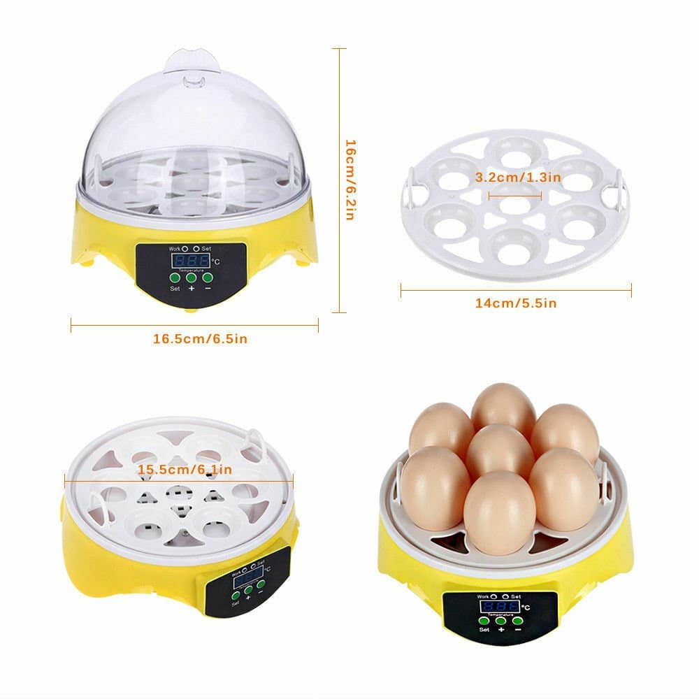 Clear Egg Incubator, Automatic Digital Poultry Hatching Machine, Mini 7 ...