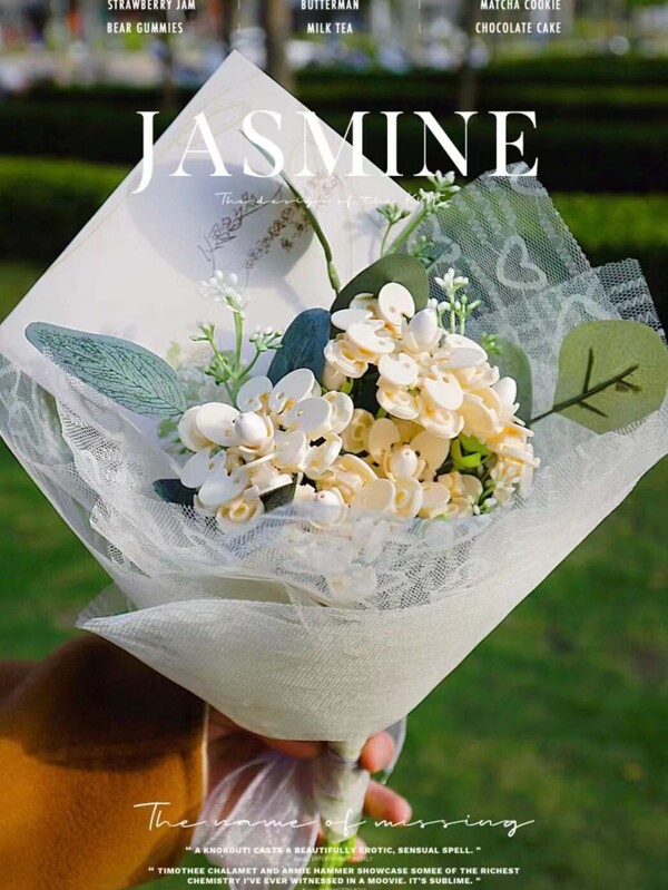 1set ABS Construction Brick, Modern Jasmine Design Building Block For ...