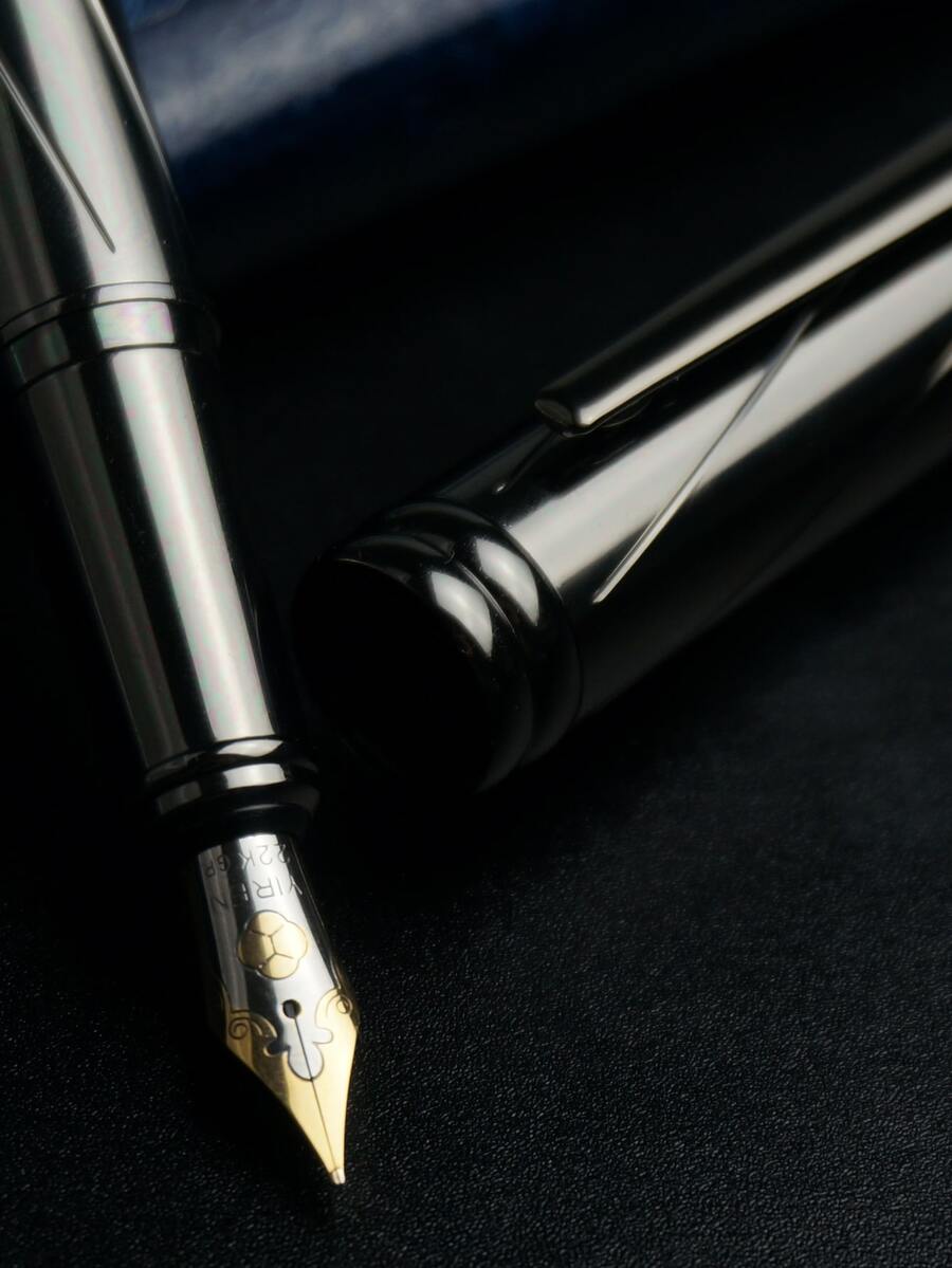 STONEGO 1PC Luxury Fountain Pen Medium Nib Pen with Twist Converter Use ...