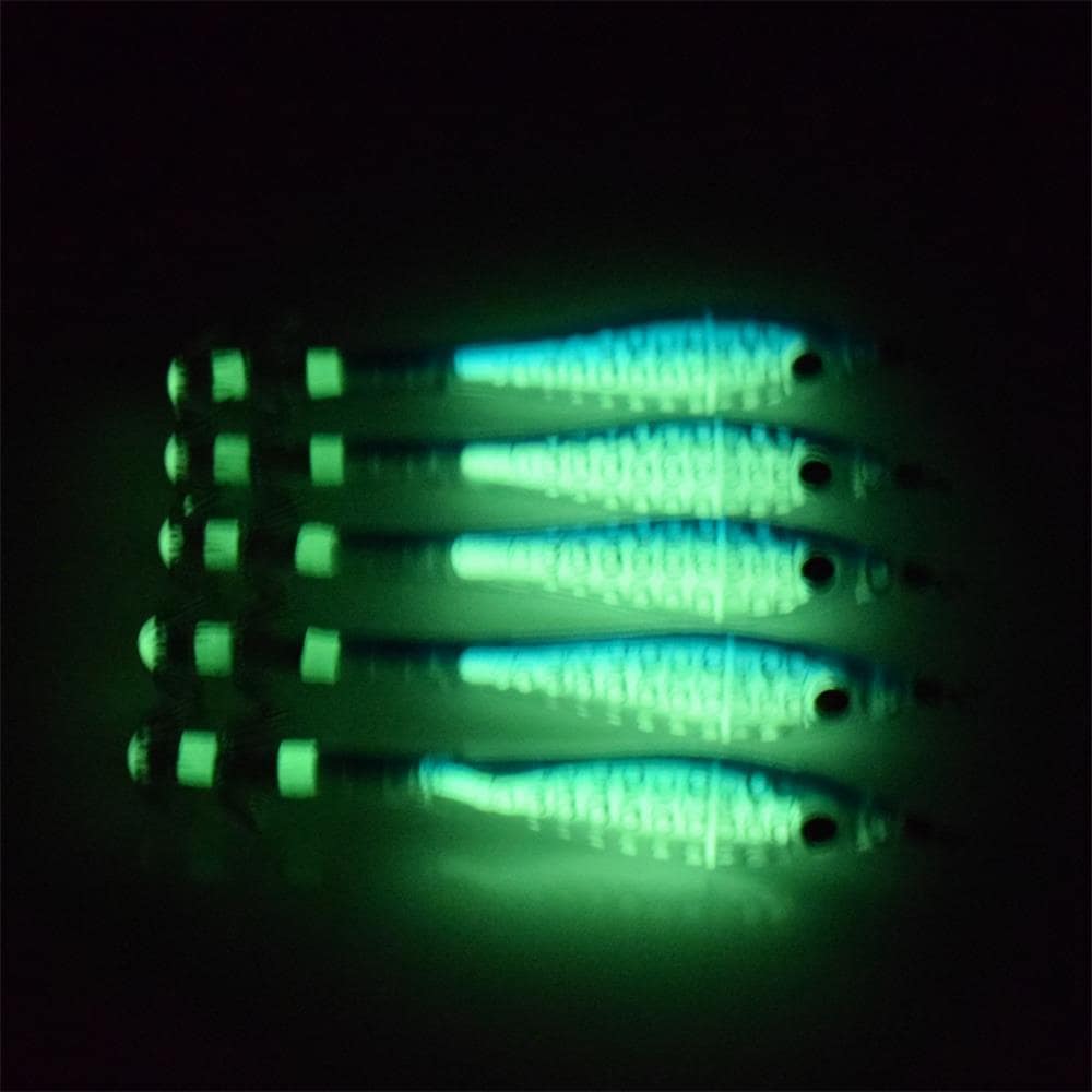 5pcs 10cm/6g Glow-In-The-Dark Squid Needle, Fishing Accessory With ...