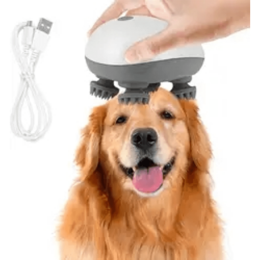 Hair Scalp Massager Waterproof Electric Head Massager With Charging ...