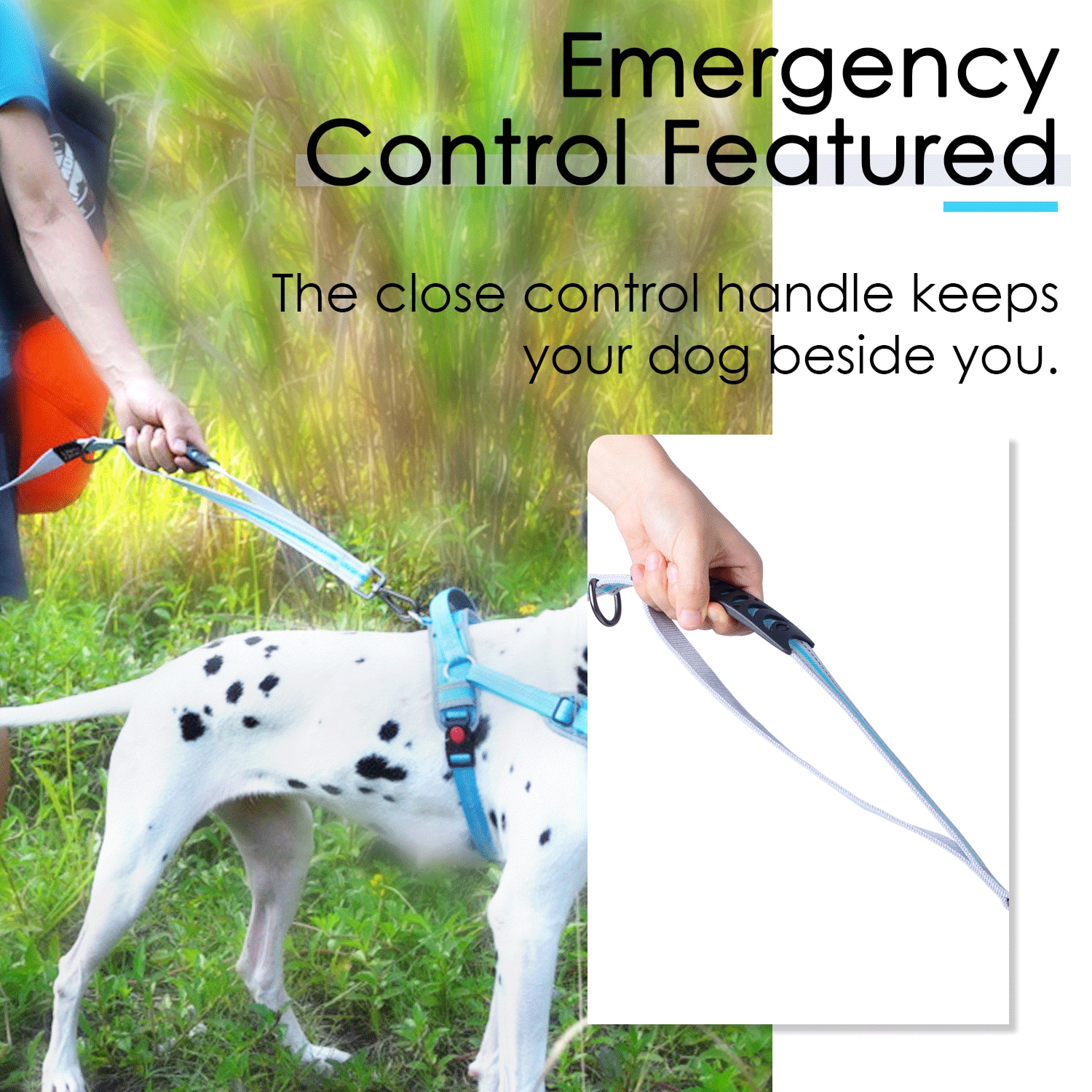 Dog Leashes, Double Handle with Car Seat Belt, 4 Ft | SHEIN USA