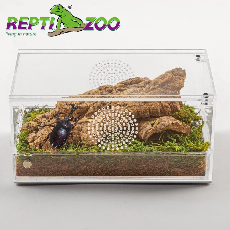 Magnetic Acrylic Reptile Terrarium, Transparent Tarantula Spider ...