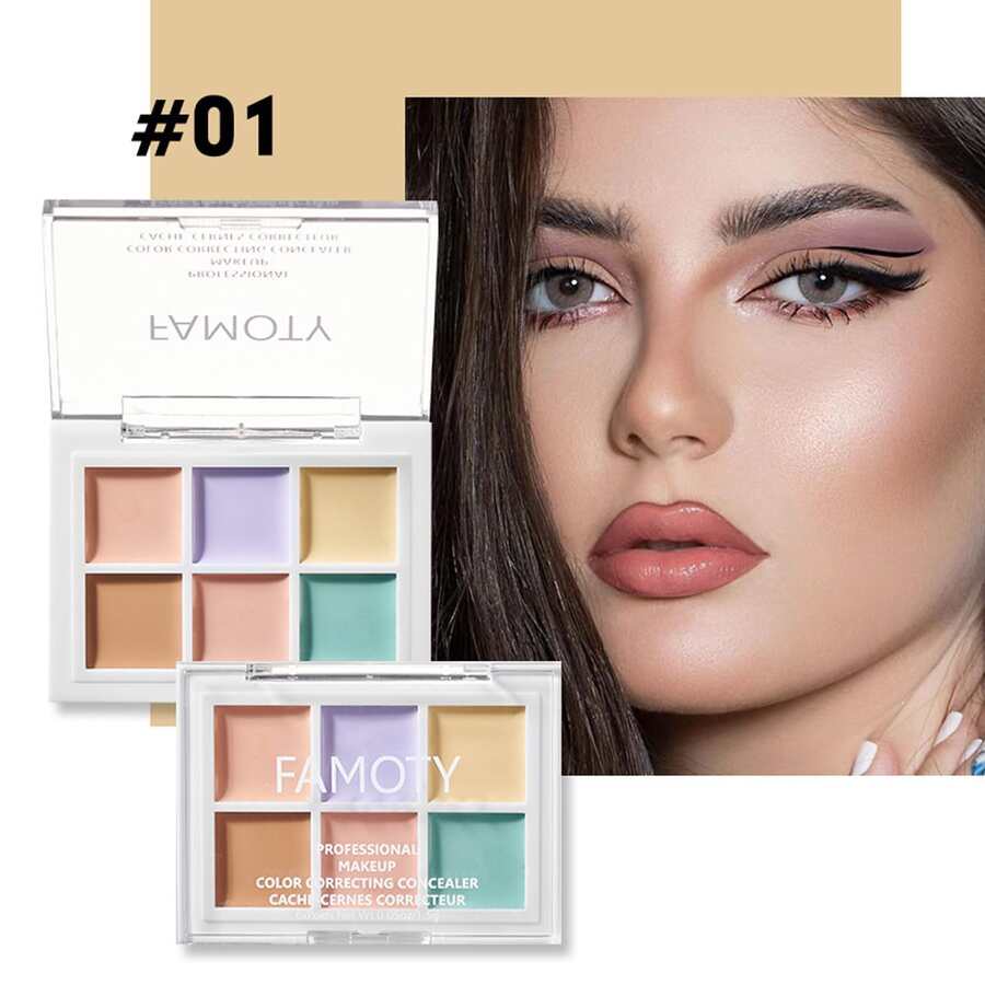 ErshiQi 6 Colors Concealer / Highlighter With Moisturizing And Pimple ...