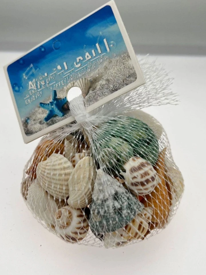 Seashells And Starfish Decorations