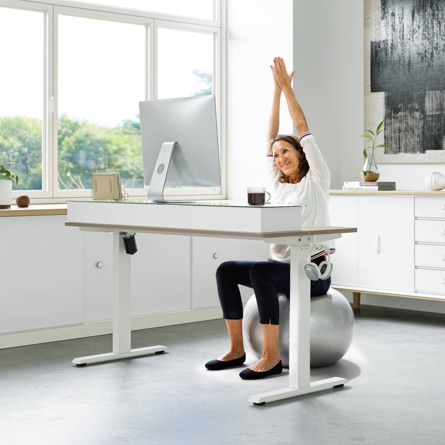 FEZIBO Electric Standing Desk with Glass Top Monitor Stand,48 x 24 Inch ...