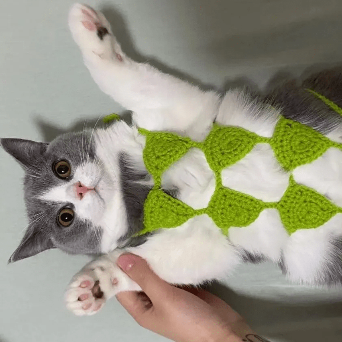 1pc Cute Cat Cosplay Jumpsuit Costume For Festivals And Parties | SHEIN USA