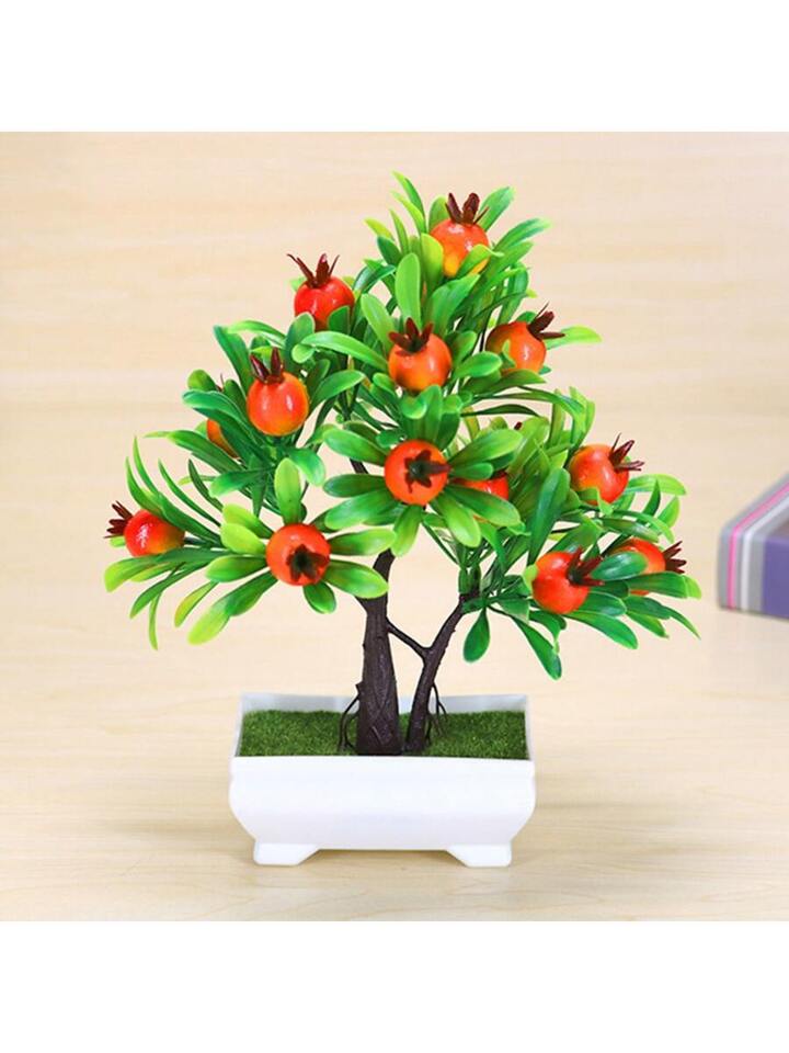 Pomegranate Tree Bonsai