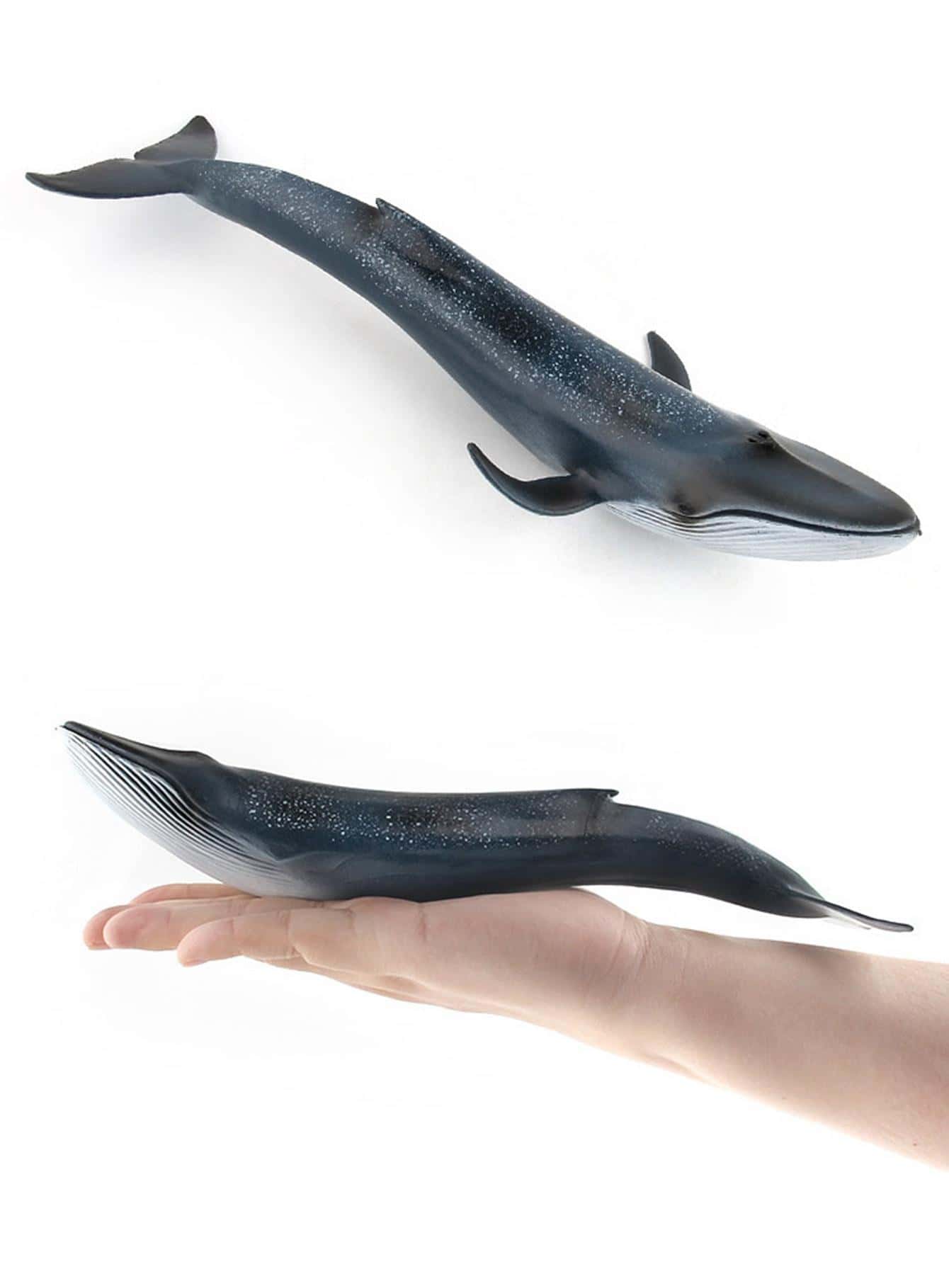 Kids' Realistic Solid Whales' Modeling Toy With Sperm Whale, Blue Whale ...