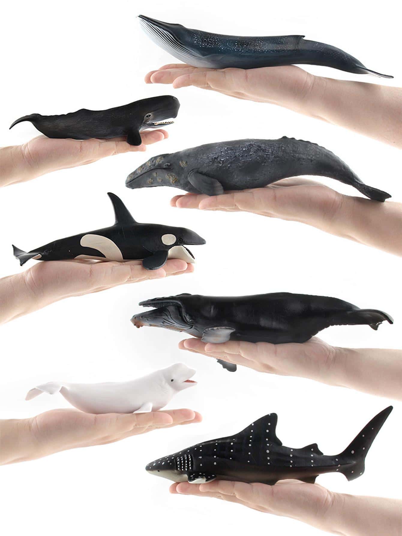 Kids' Realistic Solid Whales' Modeling Toy With Sperm Whale, Blue Whale ...