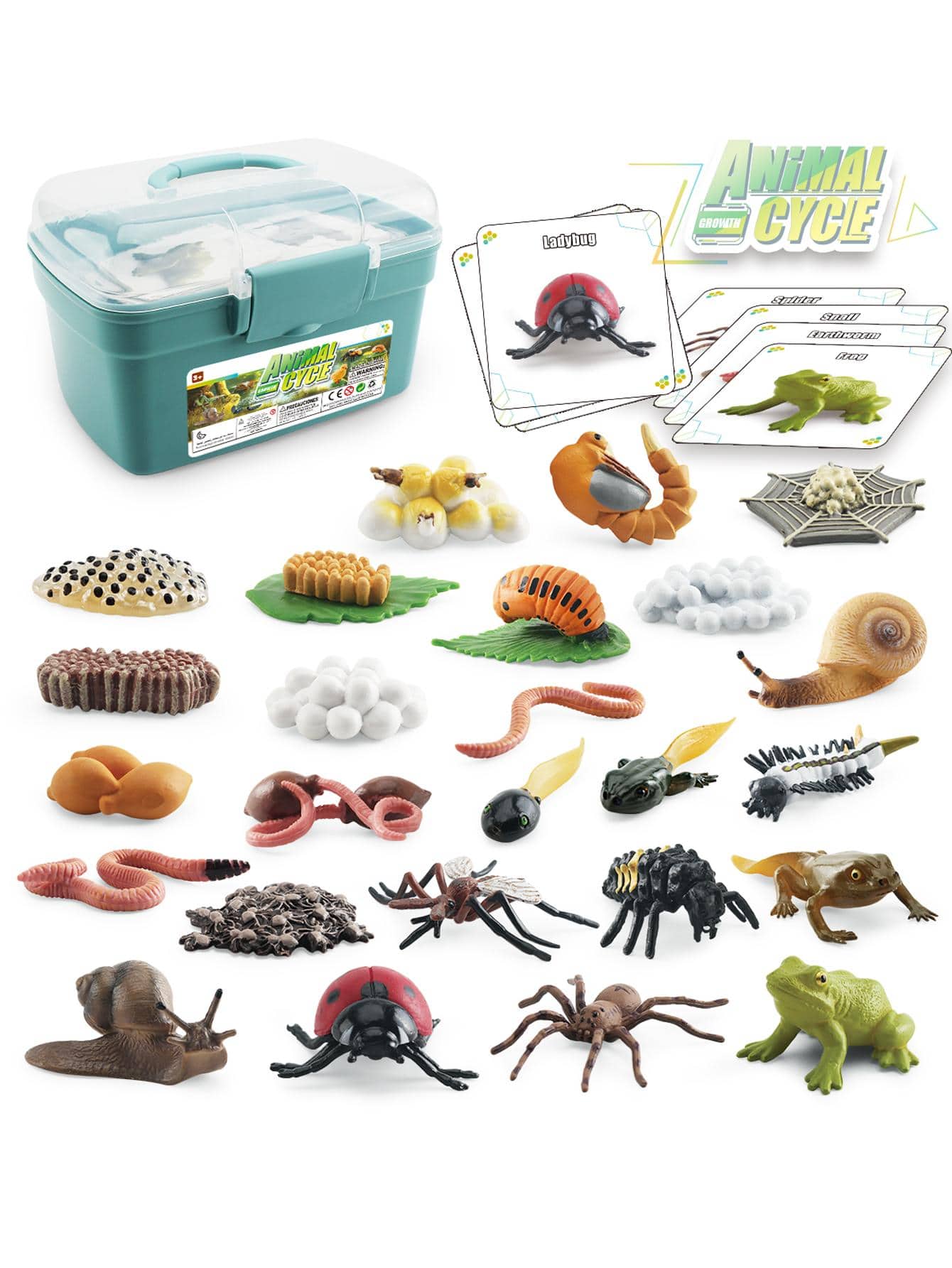 Simulation Animal Life Cycle Model Collection Box With Snail, Frog ...