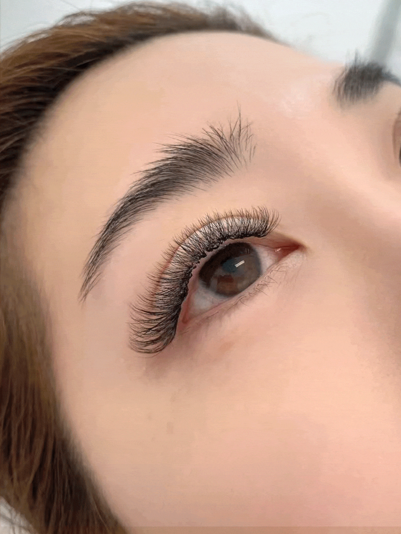 16 Rows 320 Fans 8d Premade Fan Eyelash Pointy Base Clustered Pre Made Lash Extensions 8 15mm