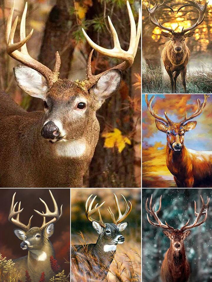 Simple Deer Design