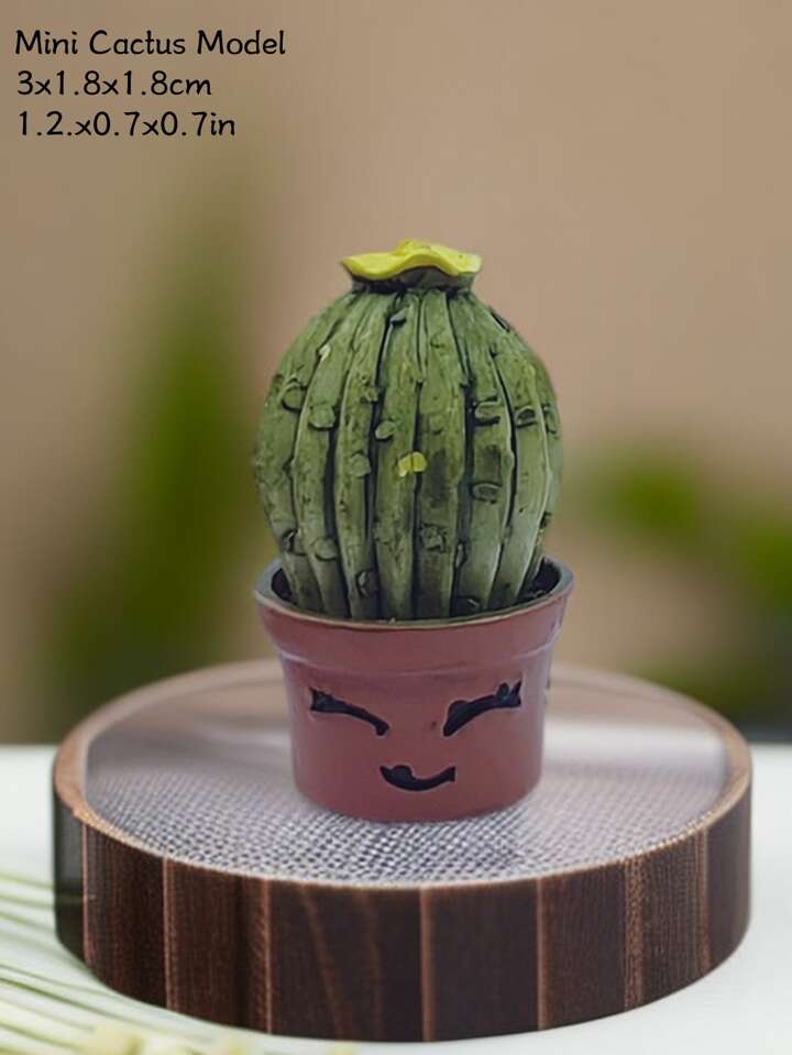 Potted Mini Cactus