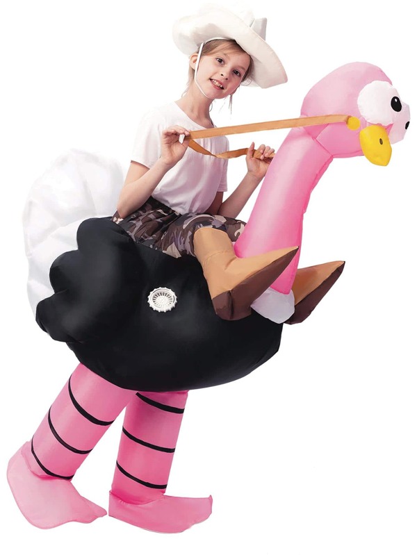 Inflatable Costume Riding an Ostrich Air Blow-up Deluxe Halloween ...