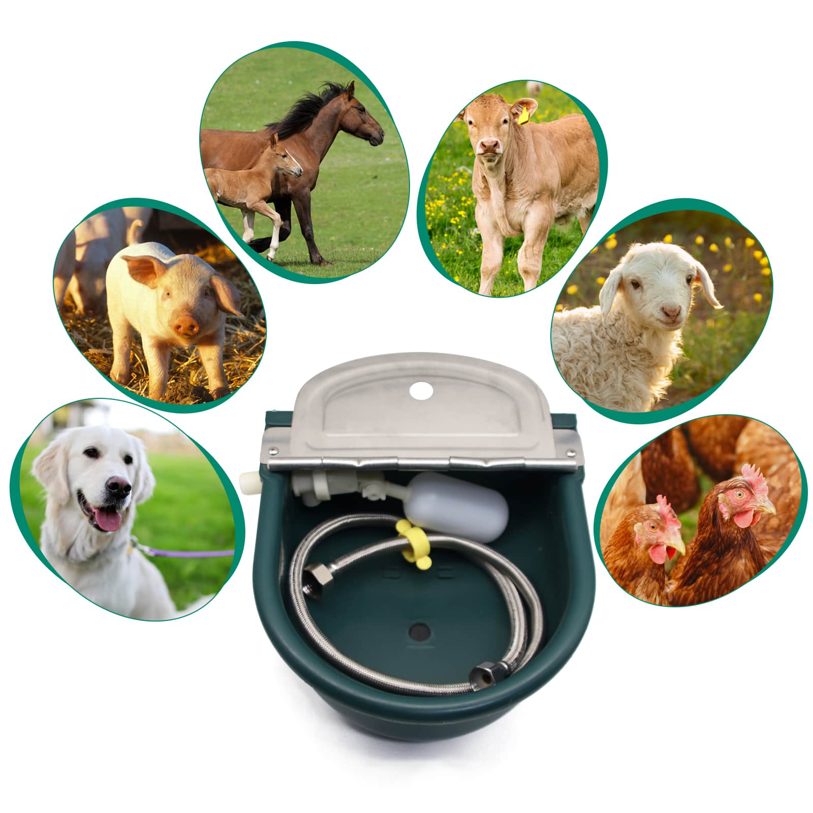 Automatic Goat Water Trough Bowl with Float Valve and Drain Hole, 4L ...