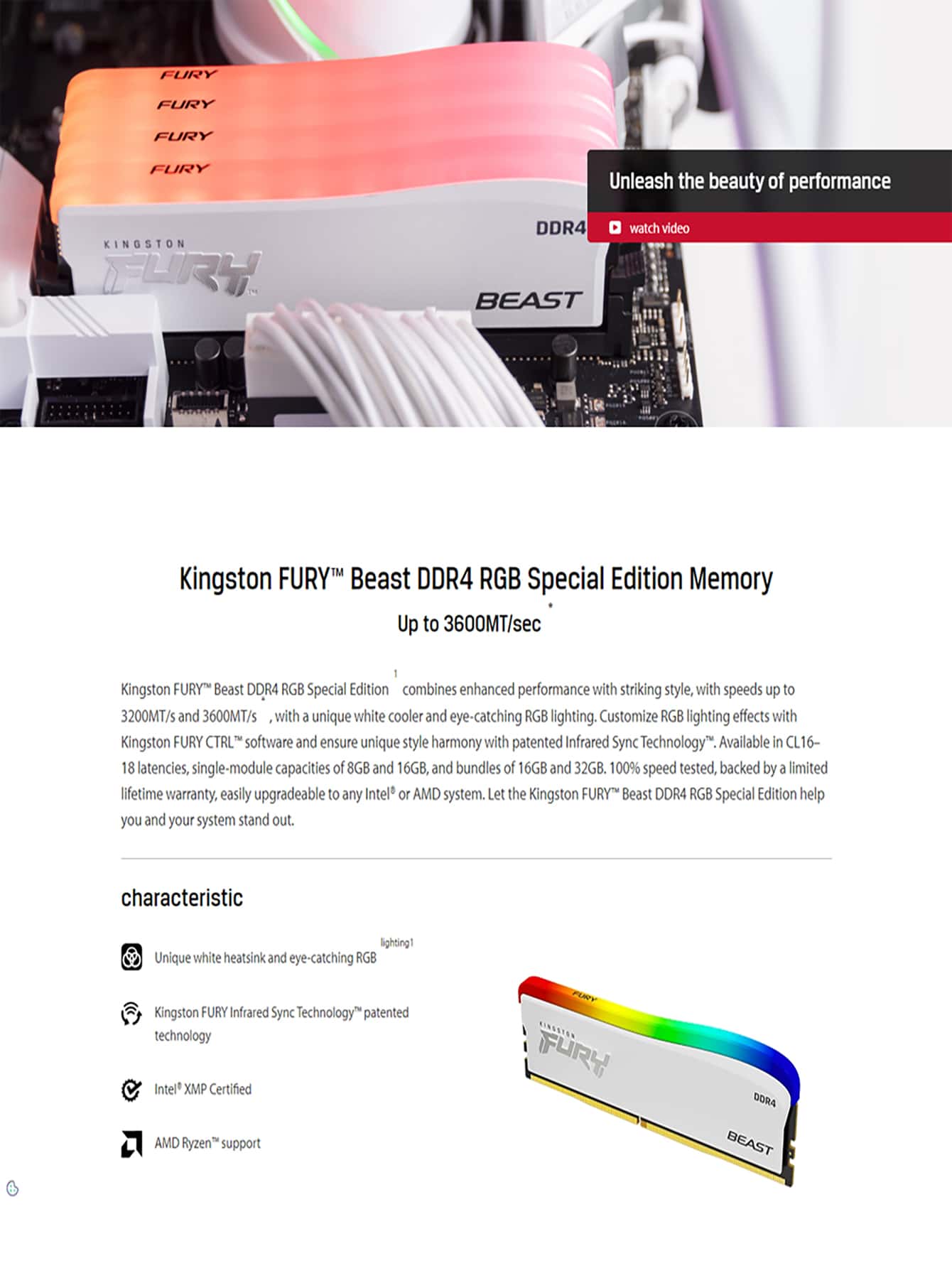 FURY Beast DDR4 RGB Special Edition 8GB 16GB 32GB 3200MHz 3600MHz ...