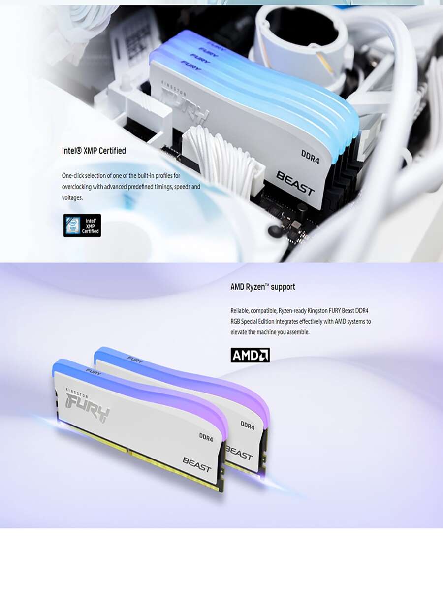 FURY Beast DDR4 RGB Special Edition 8GB 16GB 32GB 3200MHz 3600MHz ...