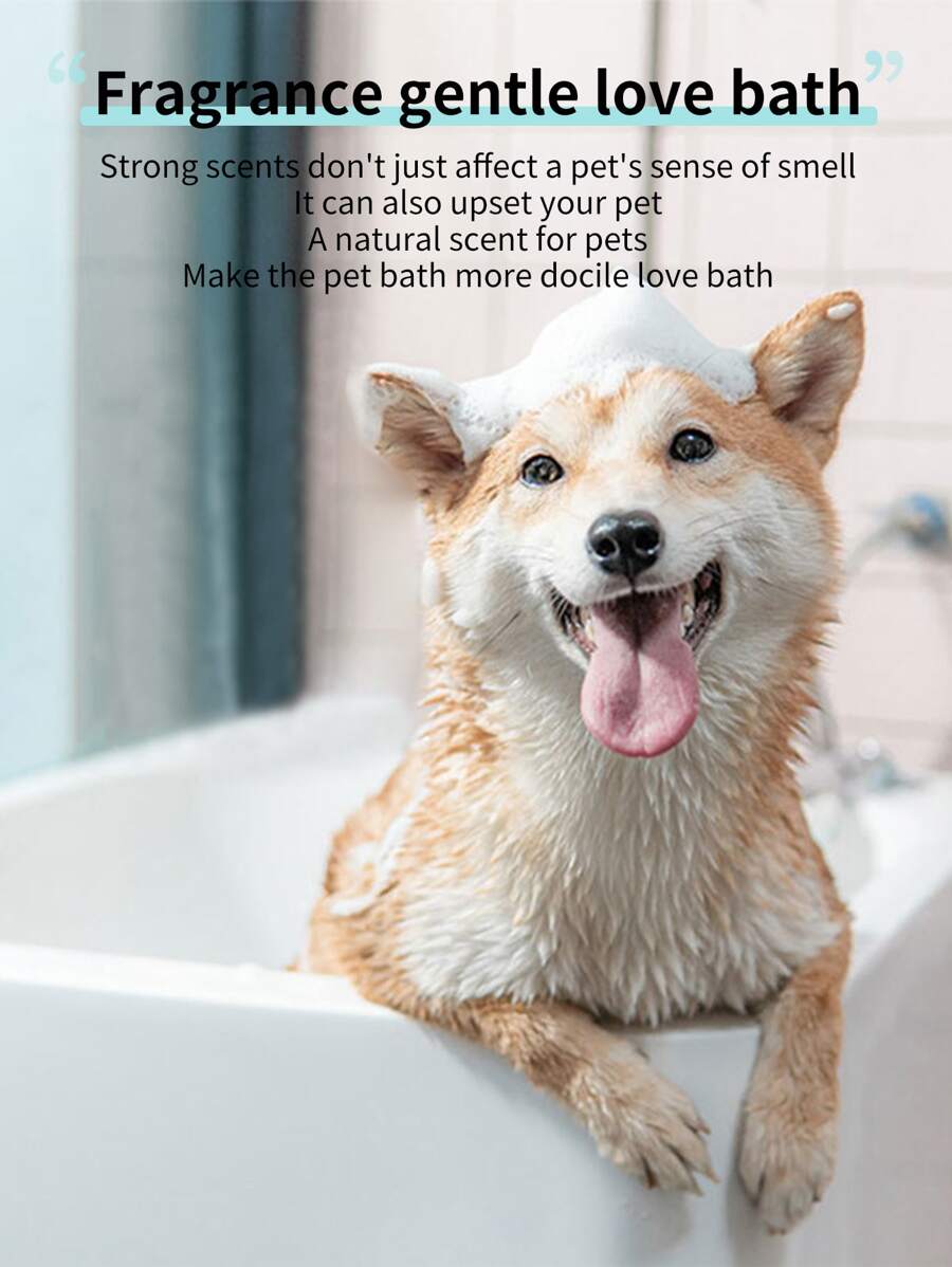 Aloe & Coconut Deodorizing Dog Shampoo 16.9 Oz For Smelly Dogs | Odor ...