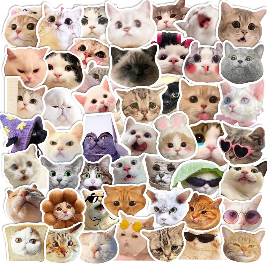 50 Pcs cute cat stickers, funny cat emoticons, graffiti stickers ...