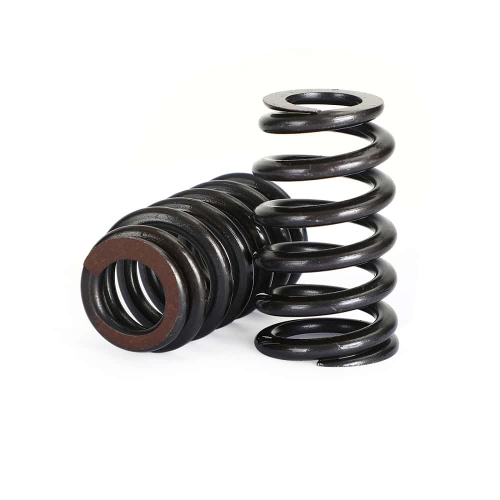PAC-1218 Valve Springs For GM LQ9 LQ4 LS LS1 LS2 LS3 LS6 4.8 5.3 6.0 6. ...