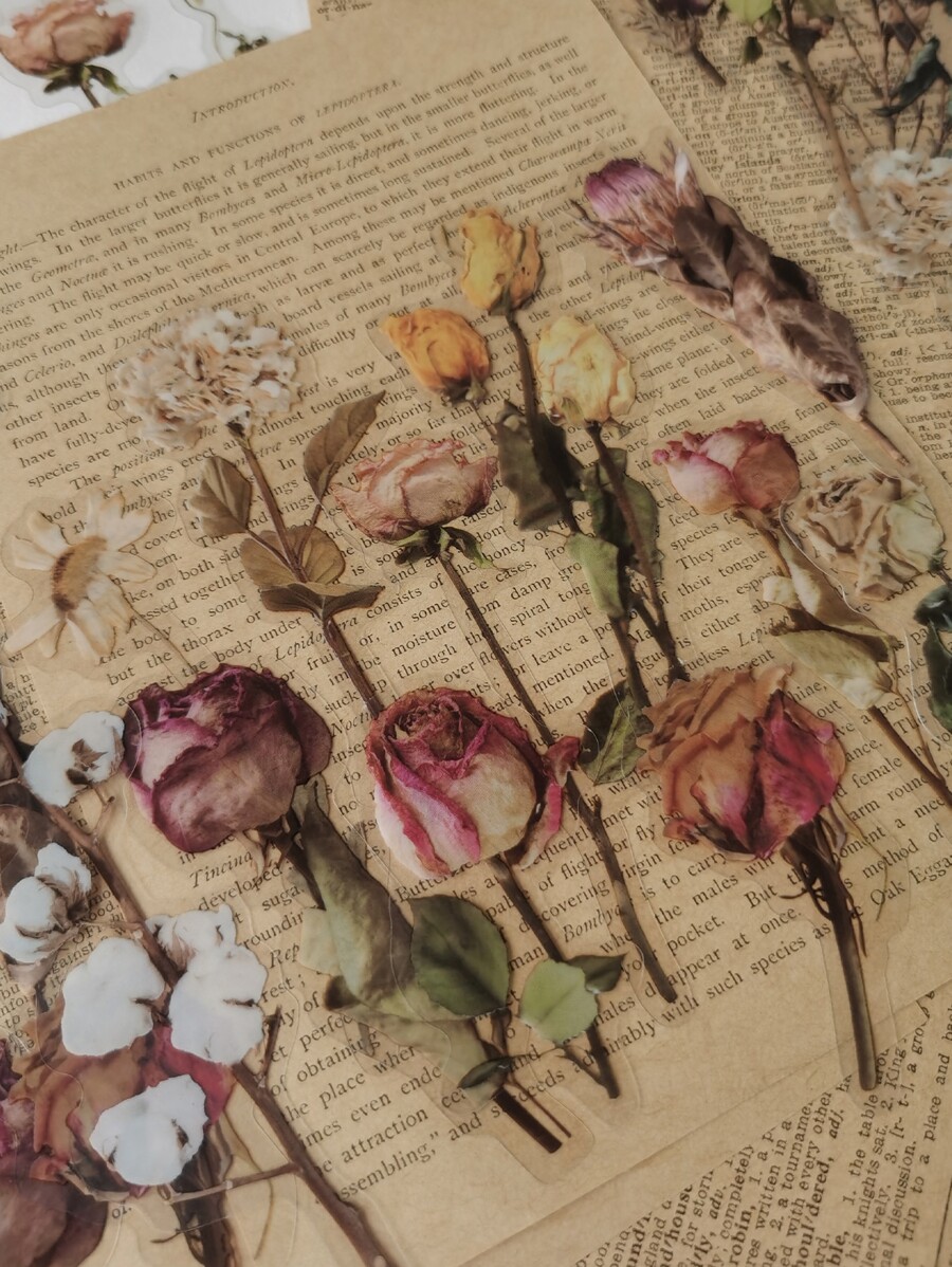 1pack 40pcs Vintage Plant Flower Pet Stickers With Dried Rose Decor For ...